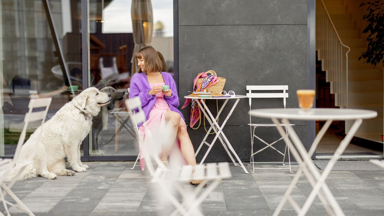 Create Pet Friendly Restaurant With 5 Simple Tips